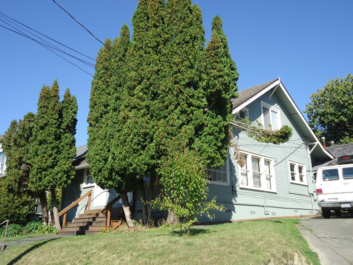 Nirvana Tour Hits Olympia: Inside Kurt Cobain and Tracy Marander’s ...
